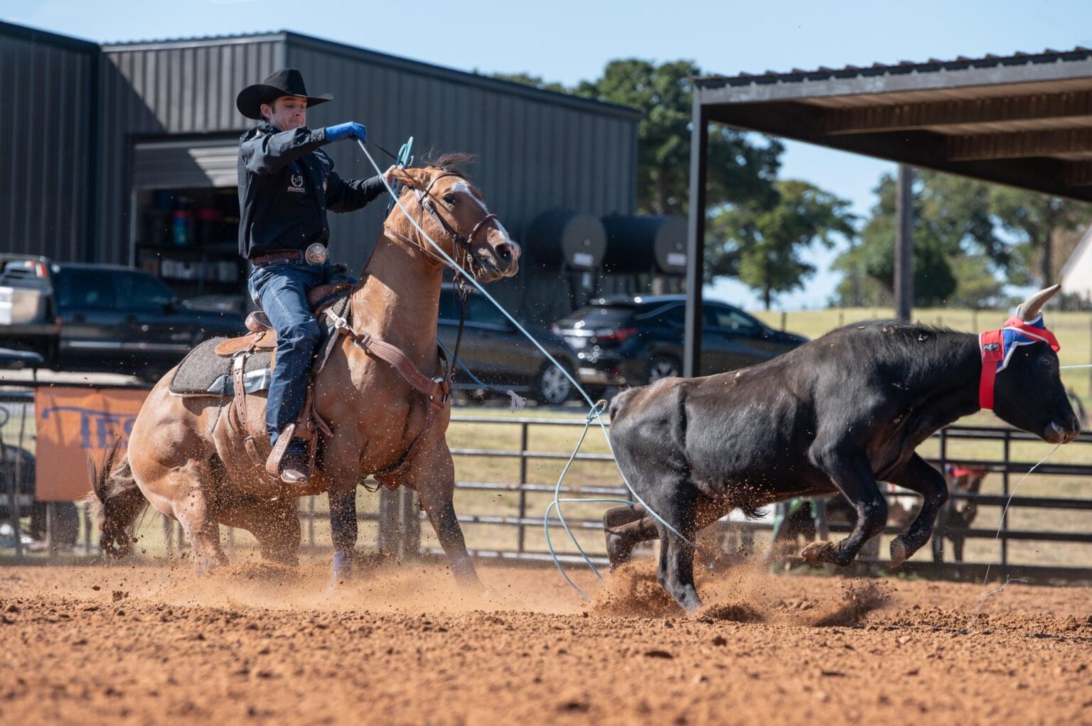 Lazy E Ranch