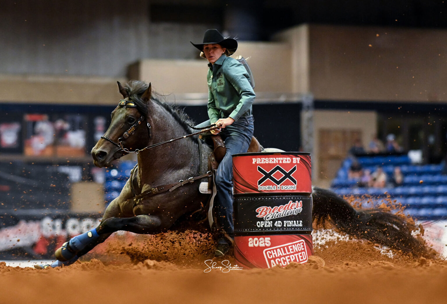 Shawne Streakin Jet - Lazy E Ranch