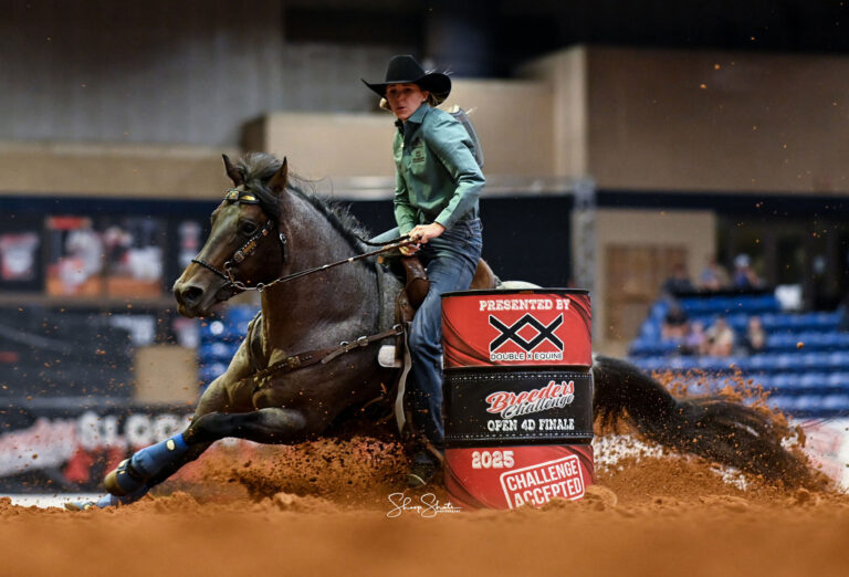 Shawne Streakin Jet - Lazy E Ranch