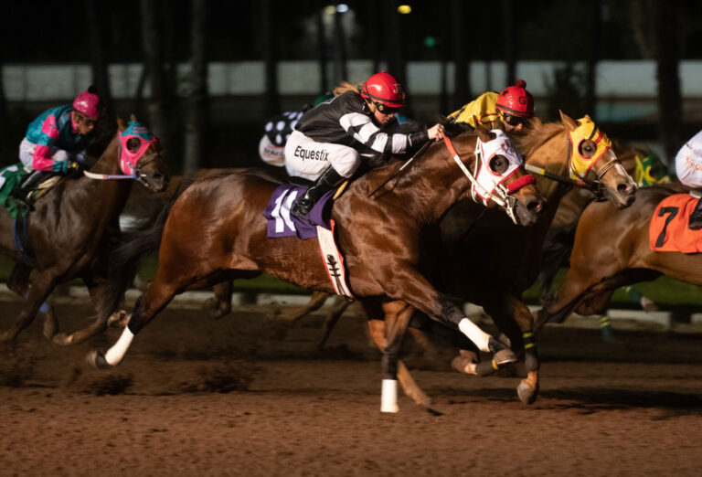 Unrelentless - Lazy E Ranch